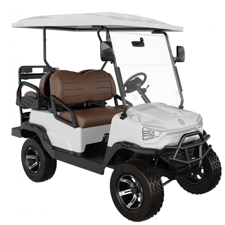 Electric Golf Cart | TaoMotor